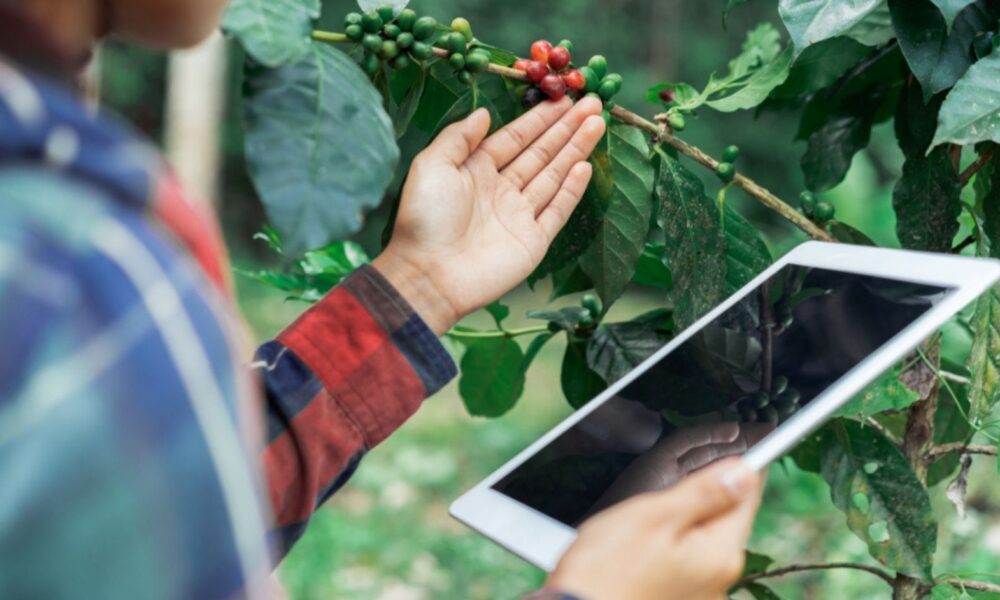 Global B2B E-commerce in Agriculture Market is Expanding - TechAnnouncer