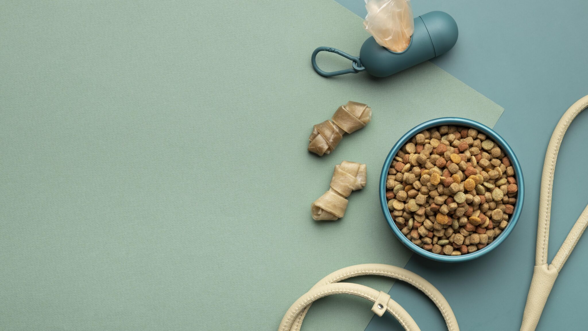 Massive Pet Adoption Culture Boosts the Pet Food Market in Germany ...