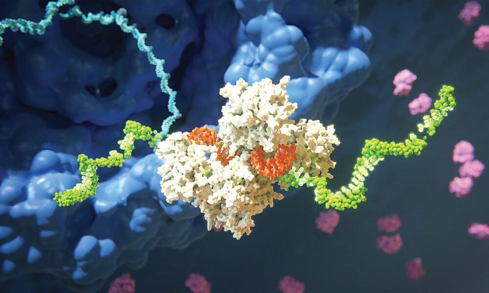 RNA Interference (RNAi) Therapeutics: Driving Innovation in Drug ...