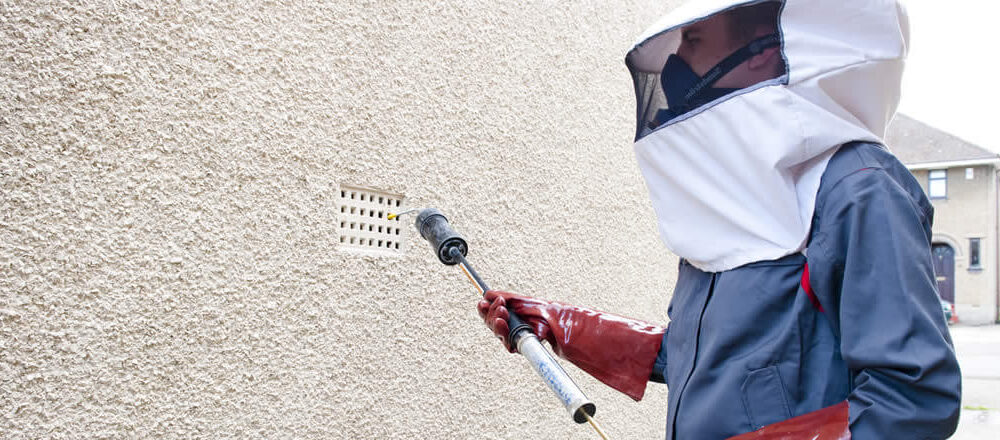 Everything You Need to Know About Pest Control for Wasps - TechAnnouncer