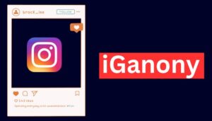 Introducing IgAnony: Your Friendly Instagram Story Viewer | TechAnnouncer