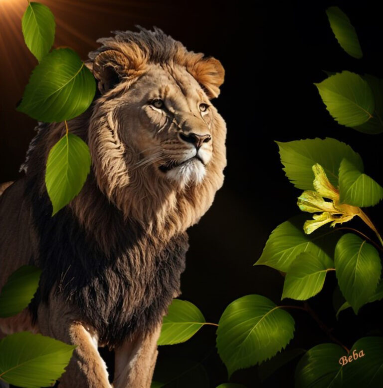 Unleashing Creativity: The Story of Beba Studio | TechAnnouncer