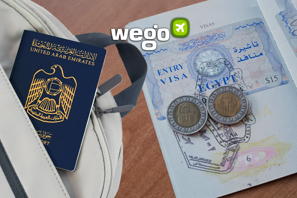 Egypt Business Visa: A Complete Guide with FAQs | TechAnnouncer