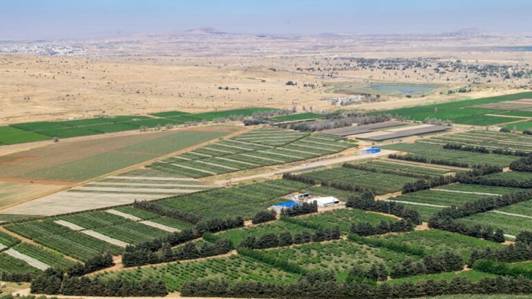 Innovations in Agriculture in Israel: From Desert to Abundance ...
