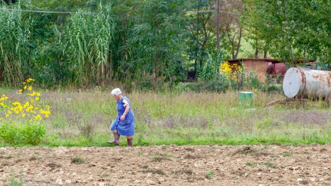 Understanding Your Internet Speed Test Results: What Do They Really ...