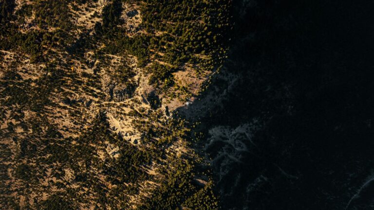 Mastering Stack And Queue Leetcode Problems A Comprehensive Guide