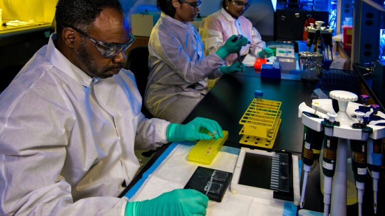 Navigating the Digital Nexus: Unleashing the Potential of Intranet ...