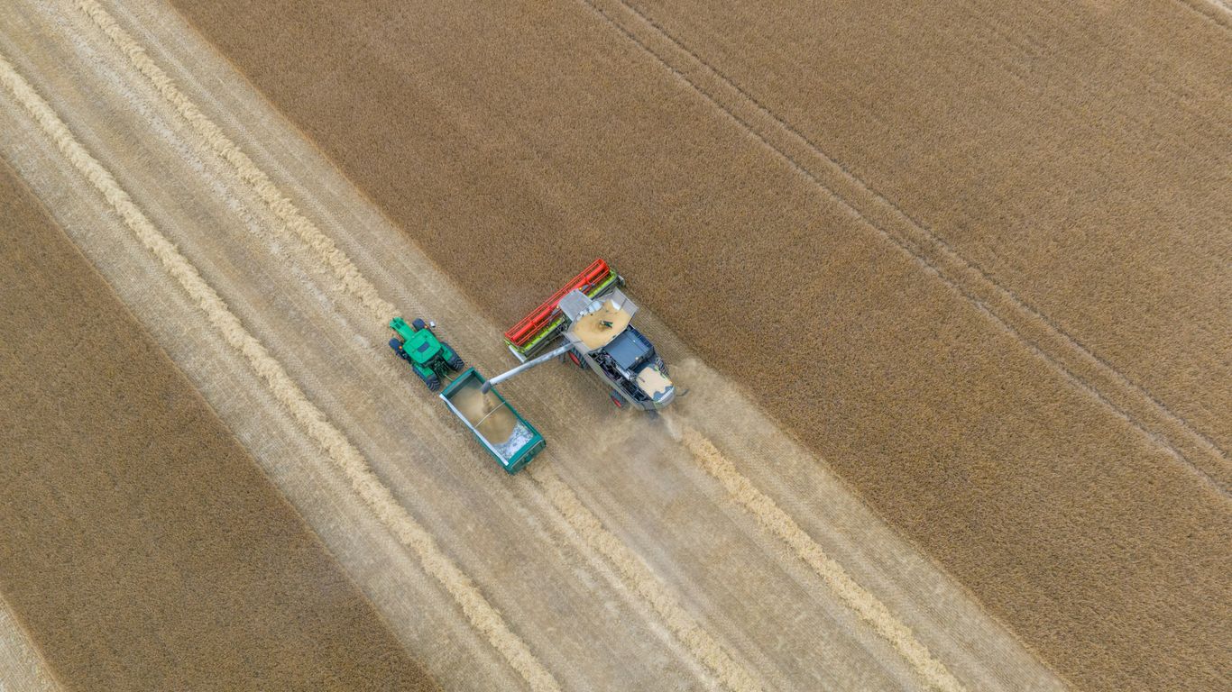 How to Reset Your Router: A Step-By-Step Guide | TechAnnouncer