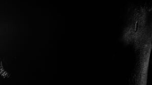 Unlocking Your Coding Potential: A Deep Dive into LeetCode Premium | TechAnnouncer