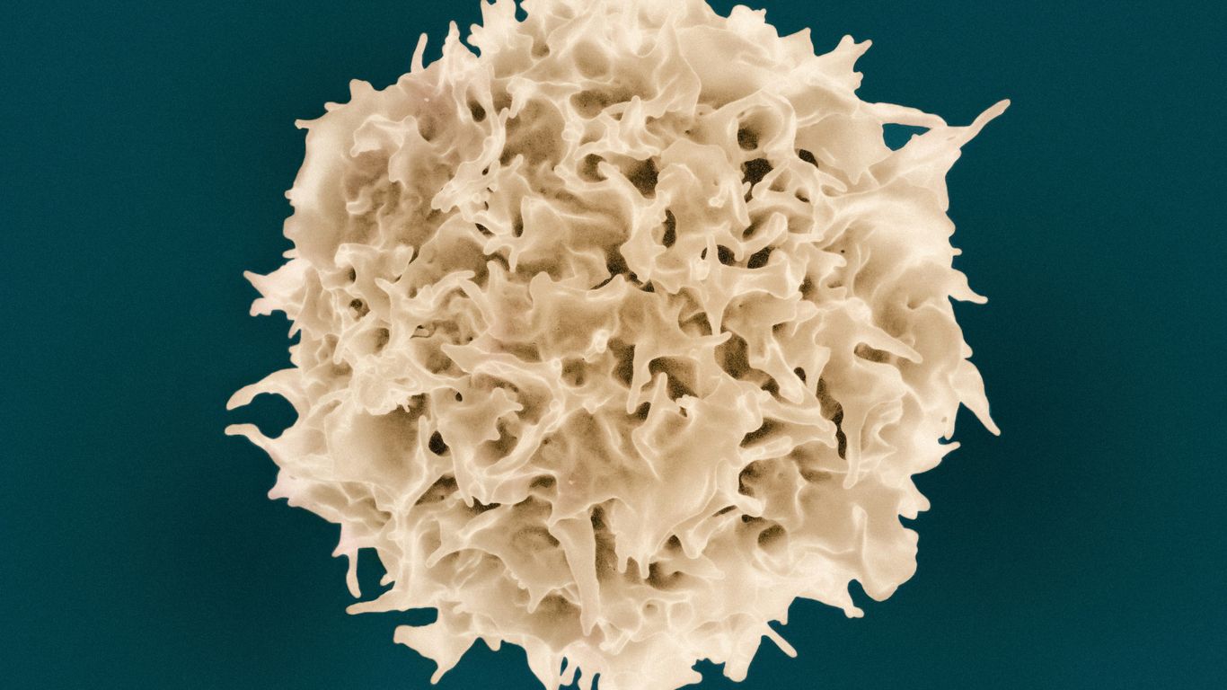 Understanding Cell Behavior: What Happens in a Hypotonic Solution ...