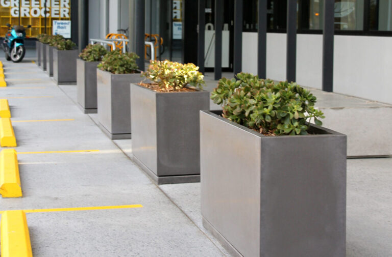 Mastering Python with FreeCodeCamp: A Comprehensive Guide for Beginners ...