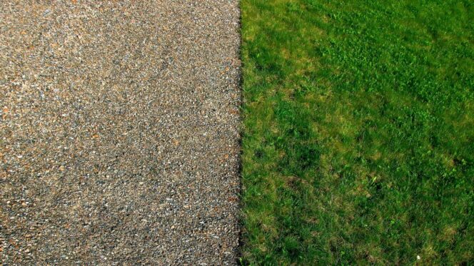 AI Images vs Real Images: A Comprehensive Guide to Telling Them Apart ...