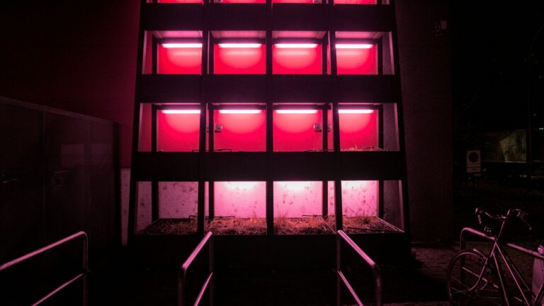 Exploring the Future of Agriculture with Cubic Farm Technology ...